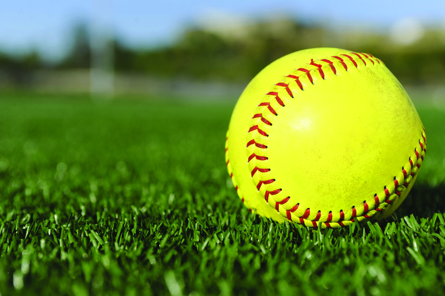 Viking softball nabs four all-league selections - The Morning Sun